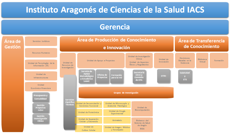 Organigrama_IACS | IACS