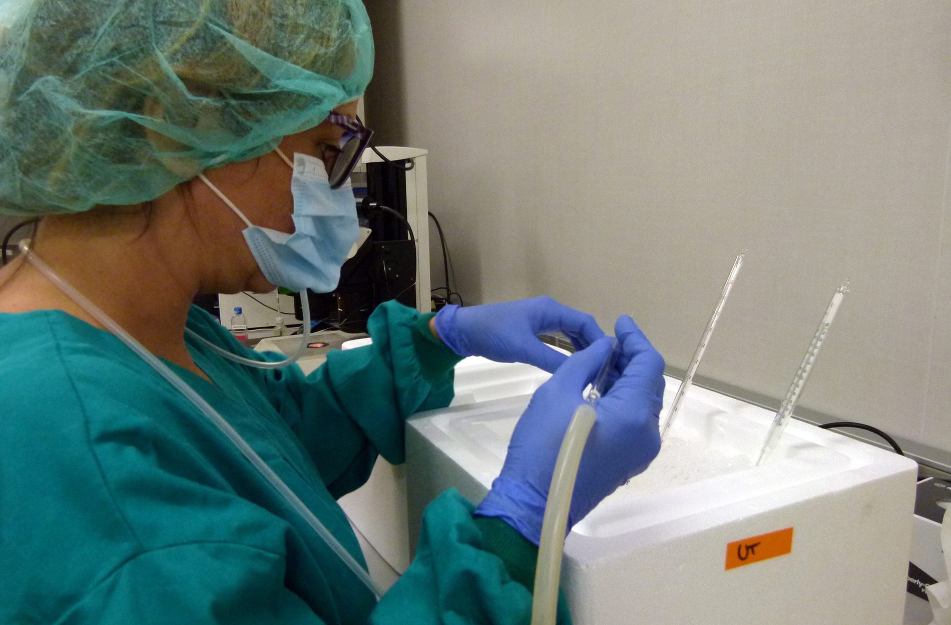 Alicia de Diego _ Horizontal | IACS